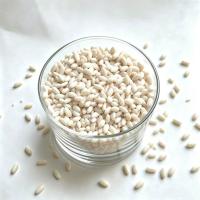 China Permanent Polymer Antistatic Agent ASTPEEN806 Plastic Pellets For Industrial Use Highly Effective for sale