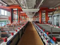 China CUSTOMIZED GANTRY LINE ELECTROPLAING LINE for sale