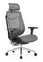 China Contemporary Mesh Office Chair Functional and Fashionable Meeting Seating for sale