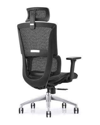 China Unrivaled Support and Comfort Ergonomic Mesh Office Chair for Perfect Alignment for sale
