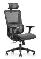 China Unrivaled Support and Comfort Ergonomic Mesh Office Chair for Perfect Alignment for sale
