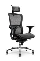 China Achieve Maximum Comfort with an Adjustable Mesh Executive Office Chair for sale