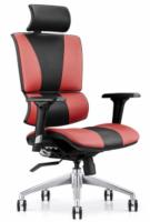China Achieve Maximum Comfort with an Adjustable Mesh Executive Office Chair for sale