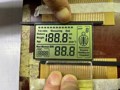 China Positive 7 Segment LCM Display Monochrome Transmissive Character Lcd Module for sale