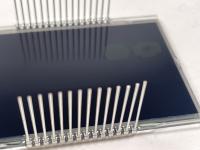 China Factory Good Quality Customized Matrix HTN LCD Display Monochrome 7 Segment Graphic LCD Screen For Motorcycle Instruments for sale