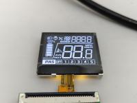 China Factory Sales 7 Segment VA COG LCD Module Customized Negative For Electric Bike for sale