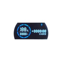 China Custom VA LCD Display | 4 Segment LCD Black and White Module for Power Supply for sale