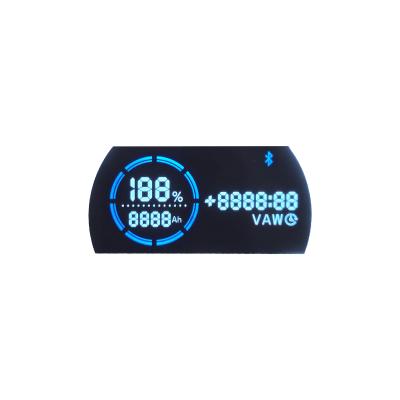 China Custom VA LCD Display | 4 Segment LCD Black and White Module for Power Supply for sale