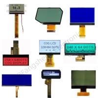 China OEM COG LCD 128x64 192x64 240x128 COG LCD Factory ST7567 COG Display for Industrial Control for sale