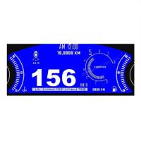 China Custom HTN LCD/STN LCD/VA LCD/LCD Segment Display /Custom LCD/LCD Display Screen for E-Bike Motorcycle/Automotive/Instrument Cluster for sale
