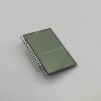 China Custom Tn Positive Reflective 6 O′ Clock Underwater Timer Segment LCD Display 12PIN TN Positive 4-Digits Segment LCD Panel for sale