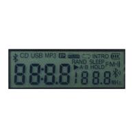 China Custom LCD Screen Monochrome 7 Segment LCD Display Module Segmented LCD Screen Segmented Display Panel for sale
