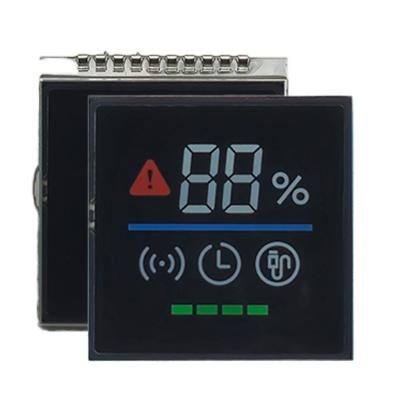 China VA Custom Monochrome Negative Segment Va LCD Panel Display Monochrome Screen for sale