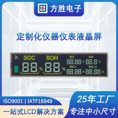 China Custom DFSTN LCD Display for Instruments | Segment LCD Display Manufacturer | OEM Industrial LCD Module for sale