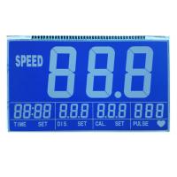 China Digit Blue Rohs Lcd Display , Sports Machines Lcd Alphanumeric Display for sale