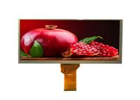 China 50 Pins 9 Inch LCD Panel Module 800 X 600 Resolution 250md / M² Brightness for sale