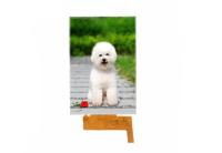 China IPS 6.5 Inch FHD TFT LCD Capacitive Touchscreen 16.7 M Colors ROHS Certificated for sale