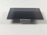 China Custom DFSTN LCD Display for Temperature Controller | Segment LCD Manufacturer & Custom LCD Display for sale