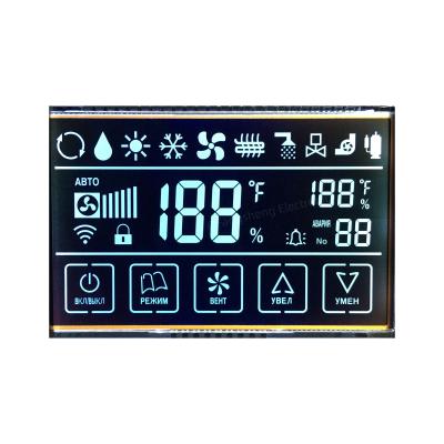 China Custom DFSTN LCD Display for Temperature Controller | Segment LCD Manufacturer & Custom LCD Display for sale