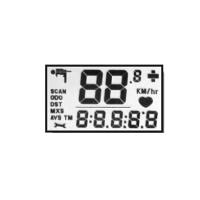 China 5 Digit Seven Segment Backlight TN LCD Display Transmissive Positive Type for sale