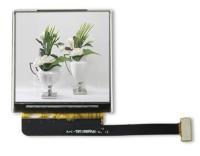 China Small Lcd Display TFT 1.54 Inch Lcd Display 240 x 240 IPS TFT LCD Display With SPI Interface for sale