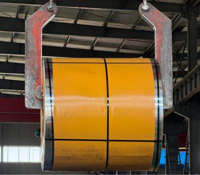 China Hot Rolled & Cold Rolled Stainless Steel Coil 304 316L 430 904L 2205 Duplex for Construction Food Industry and Industrial Applications for sale