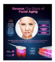 China Desktop Face Neck Treatment 2024 Latest RET-Face RF EMS Facial Machine for Anti-Aging for sale