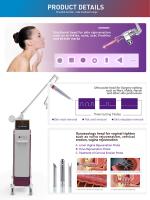 China Professional 60W RF Tube Q-Switch Fotona Fractional CO2 Laser Skin Resurfacing Machine for sale
