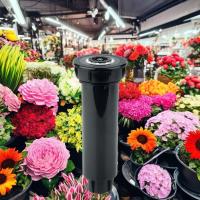 China Revolutionize Your Lawn Care with Scattering Lift-forget Technique and Picture Shows for sale