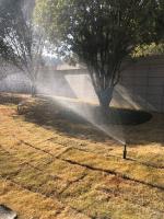 China Revolutionize Your Lawn Care with Scattering Lift-forget Technique and Picture Shows for sale