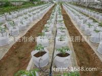 China Agriculture Irrigation Durable Pressure Compensation Garden Sprinklers in Normal Style for sale