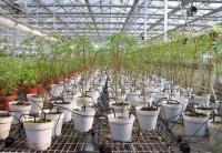 China Engineering Plastic Drip Fittings for Customizable Portable Home Plant Irrigation for sale