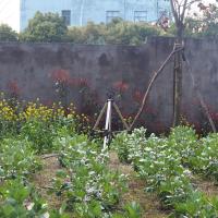 China Upgrade Your Agriculture Irrigation System with 360 Degree Rotating Garden Sprinkler for sale