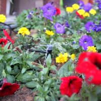 China In-Ground Watering Rotating Sprinkler for Agriculture Irrigation Yard Farm Garden System for sale
