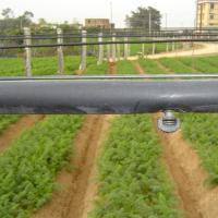 China 360° Screw Sprinkler for Quick Connect Connection and Garden Farm Irrigation Solution for sale