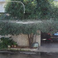 China 360 Inverted Position Rotary Sprinkler for High Pressure Agricultural Irrigation for sale