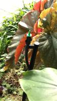 China 360 Degree Adjustable Farm Agricultural Water Garden Rotate Irrigation Sprinkler for sale