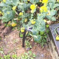 China G Type 360 Agriculture And Forestry Garden Sprinkler for Irrigation Quick Connect for sale