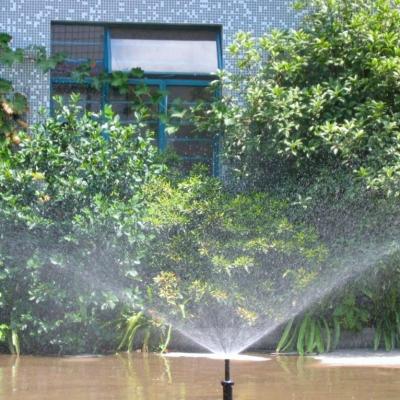 China 1/2 Inch Engineering Plastic Scattering Pop-Up Sprinkler for Rotating Lawn Irrigation for sale