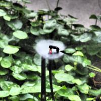 China G Type Micro Sprinkler The Ultimate Solution for Agricultural Irrigation 150-300KPA for sale