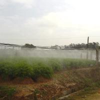 China Quick Connect Screw Atomized Irrigation Spray for Agriculture and Forestry Micro Sprinkler for sale