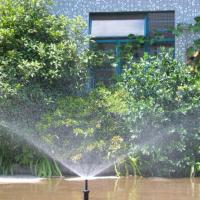 China Scattering Pop Up Sprinkler Endurable Sprinklers for Agriculture Irrigation in County for sale