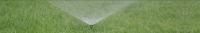 China Scattering Pop Up Sprinkler Endurable Sprinklers for Agriculture Irrigation in County for sale