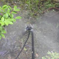 China Four-outlet Micro MIST Sprinkler for Agriculture and Forestry Irrigation Equipment for sale