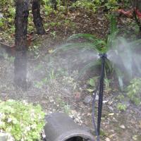 China Four-outlet Micro MIST Sprinkler for Agriculture and Forestry Irrigation Equipment for sale