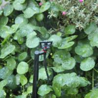 China Customized 360degree Sprinkler System for Agriculture Irrigation in Micro Greenhouses for sale