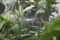 China Endurable Complete Circle Refraction and Agricultural Sprinkler for Optimal Irrigation for sale
