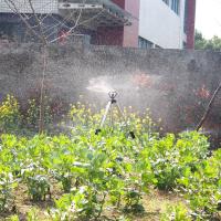 China Endurable Butterfly Sprinkler for Agriculture Irrigation in Ground Solution for sale