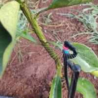 China Engineering Plastic G Type 360 Degrees Refraction Sprinklers for Agriculture Irrigation for sale