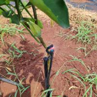 China Engineering Plastic G Type 360 Degrees Refraction Sprinklers for Agriculture Irrigation for sale